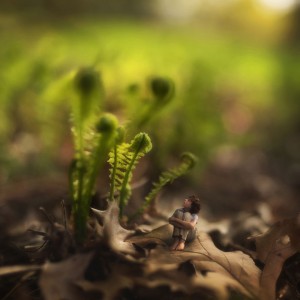 Zev Hoover, Age 14: Homeschooled Photo-Artist Makes it Big Online - The ...